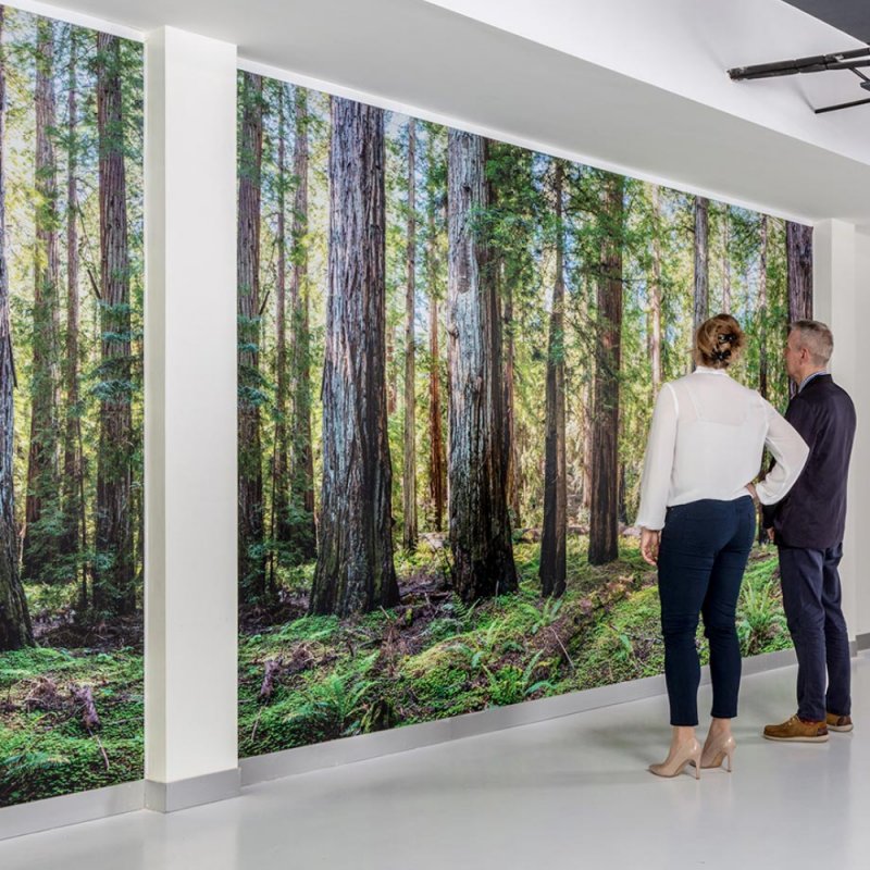 One Piece Digimura One Wall Covering